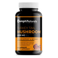 Turkey Tail mushroom capsules for immunity