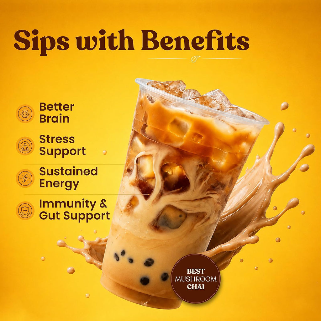 turkey tail mushroom chai benefits