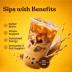 turkey tail mushroom chai benefits