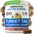 Turkey Tail Mushroom Chews for dogs