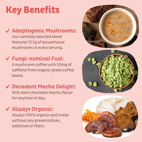 turkey tail mushroom coffee powder