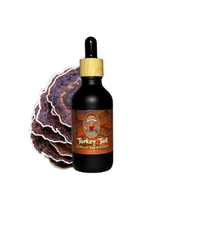 Turkey Tail mushroom extract benefits