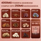Turkey tail mushroom extract benefits