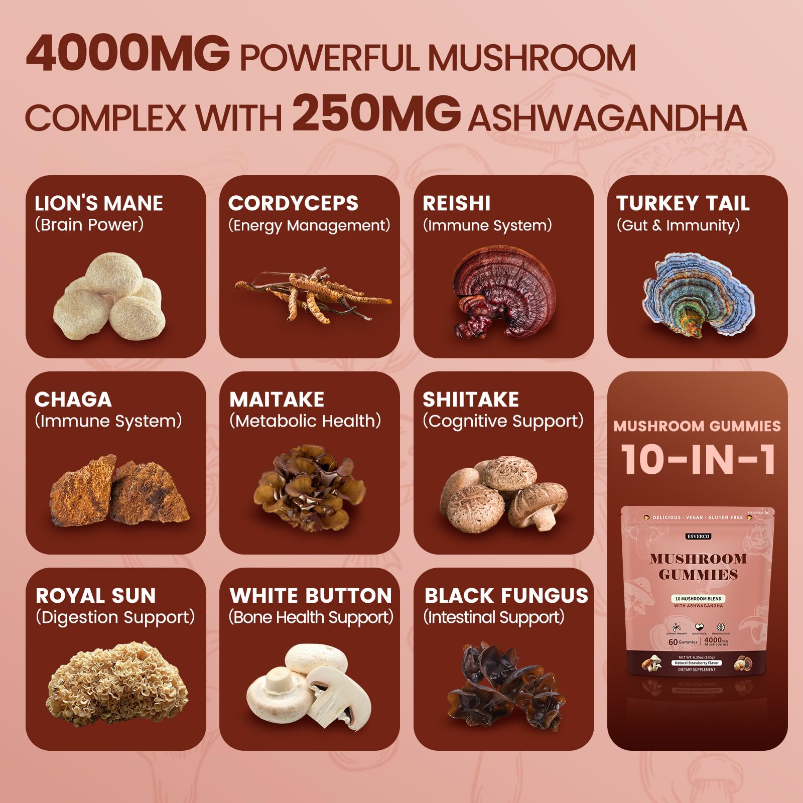 Turkey tail mushroom extract benefits