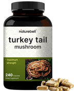 turkey tail mushroom extract capsules