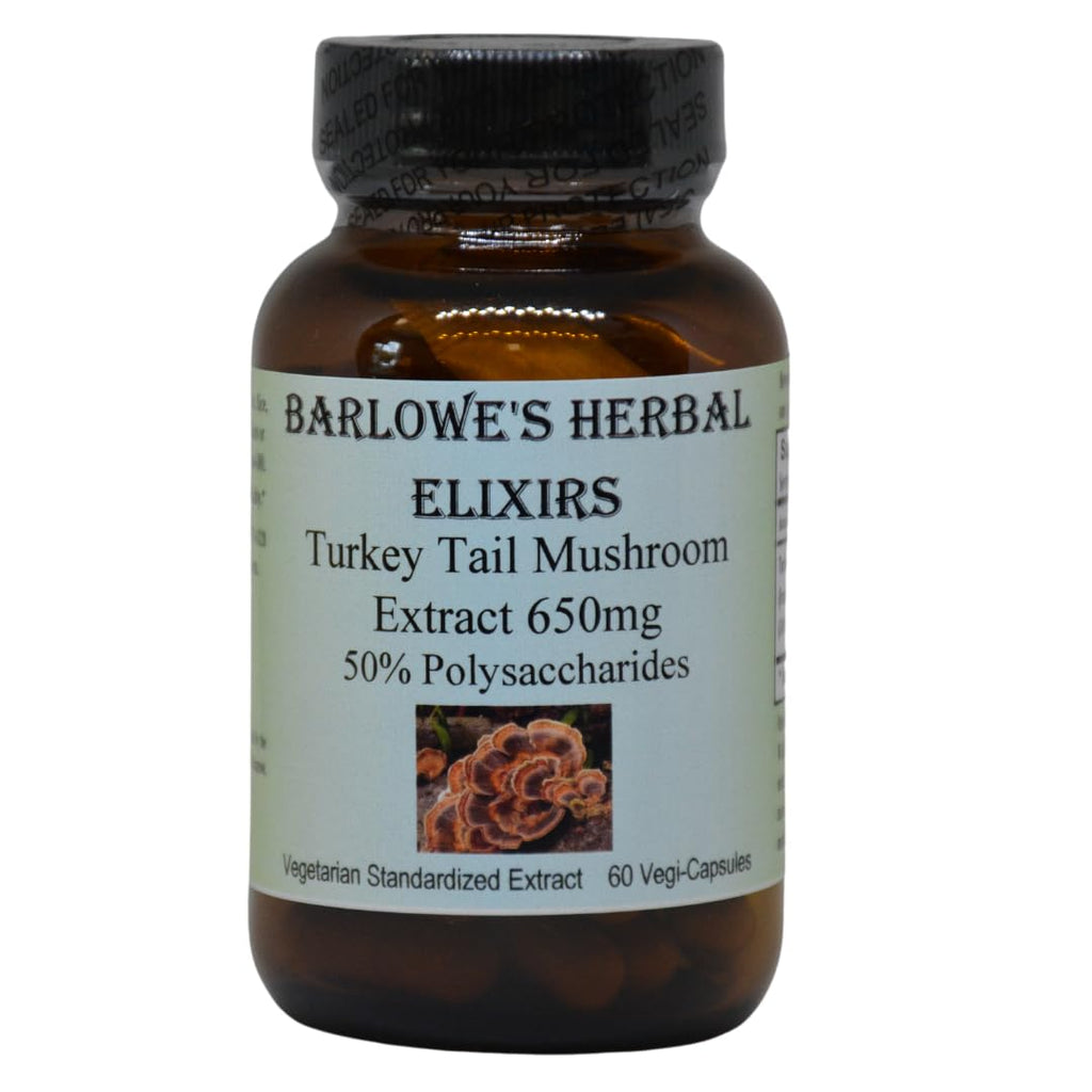 Turkey Tail mushroom extract capsules