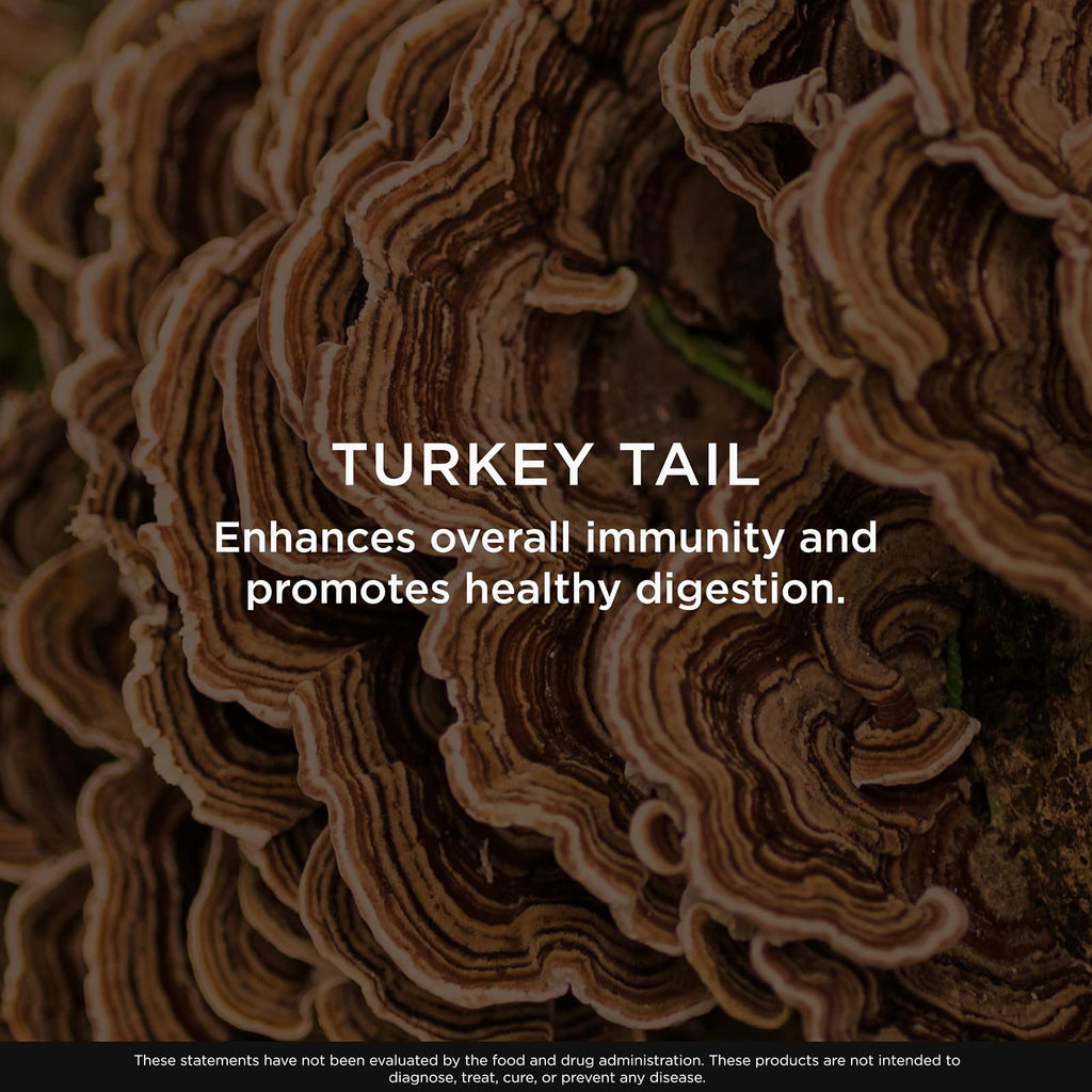 turkey tail mushroom extract features