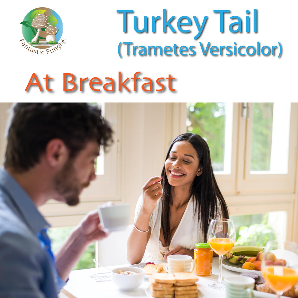 turkey tail mushroom extract for detox