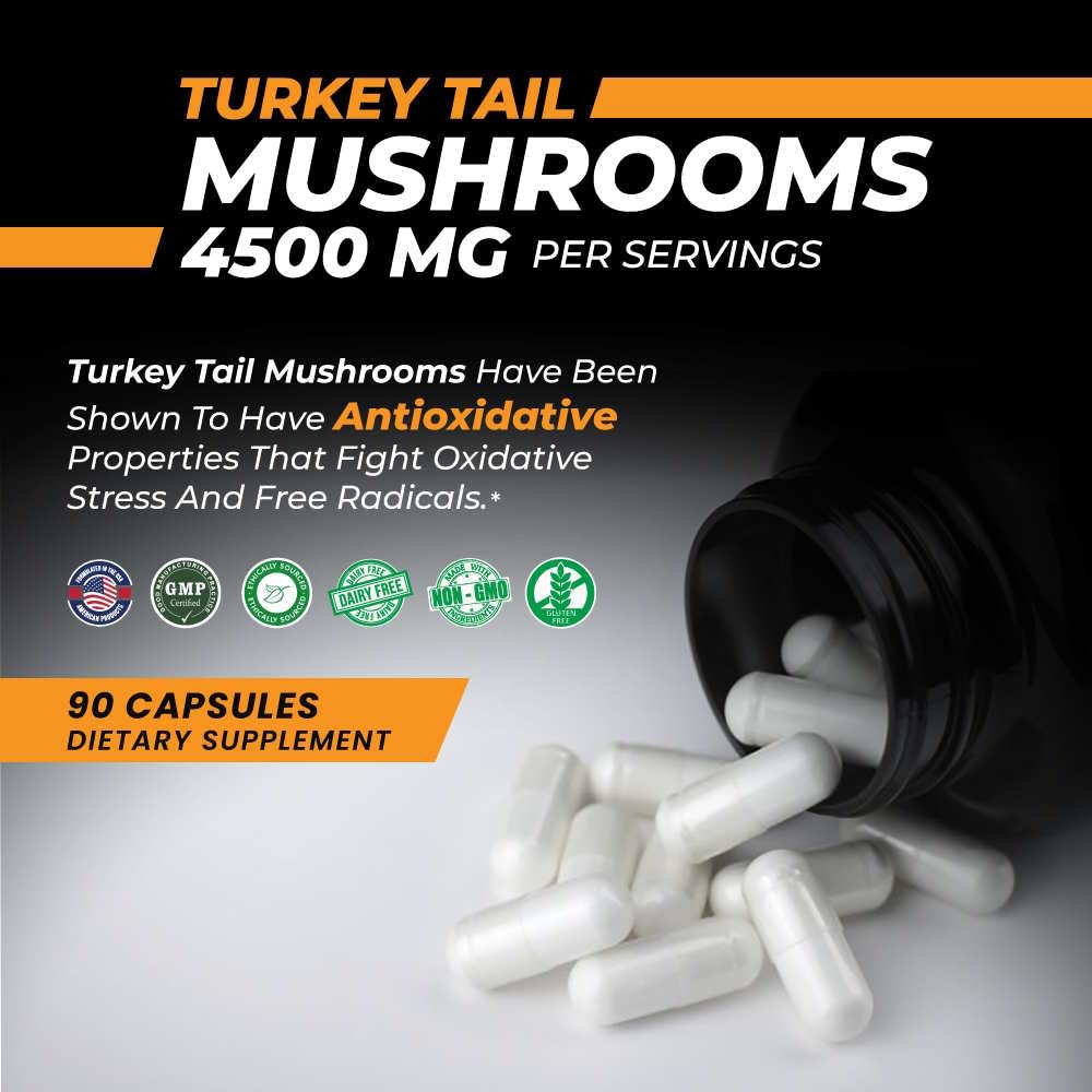 Turkey Tail mushroom extract for holistic health