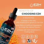turkey tail mushroom extract liquid