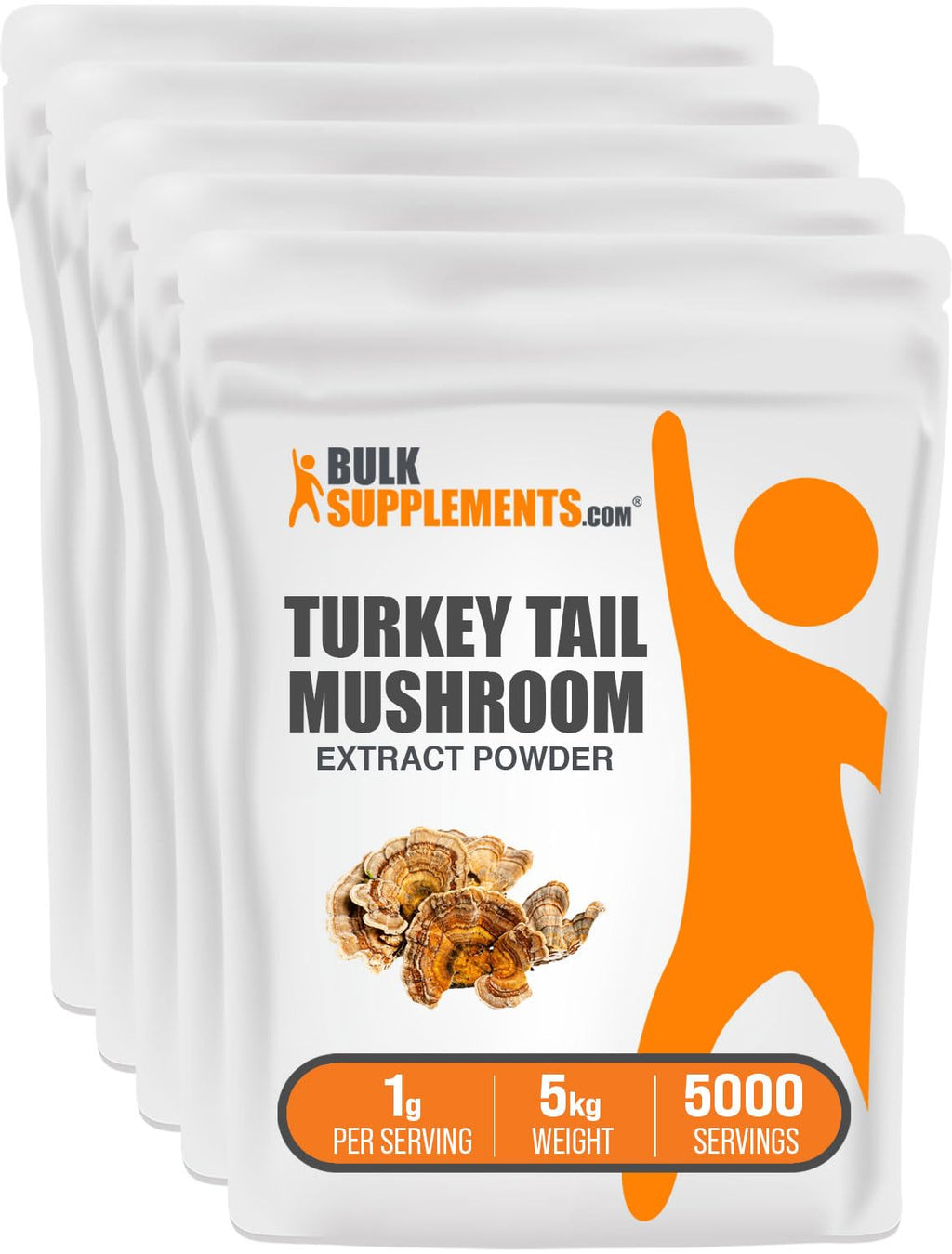 Turkey Tail mushroom extract powder