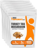 Turkey Tail mushroom extract powder