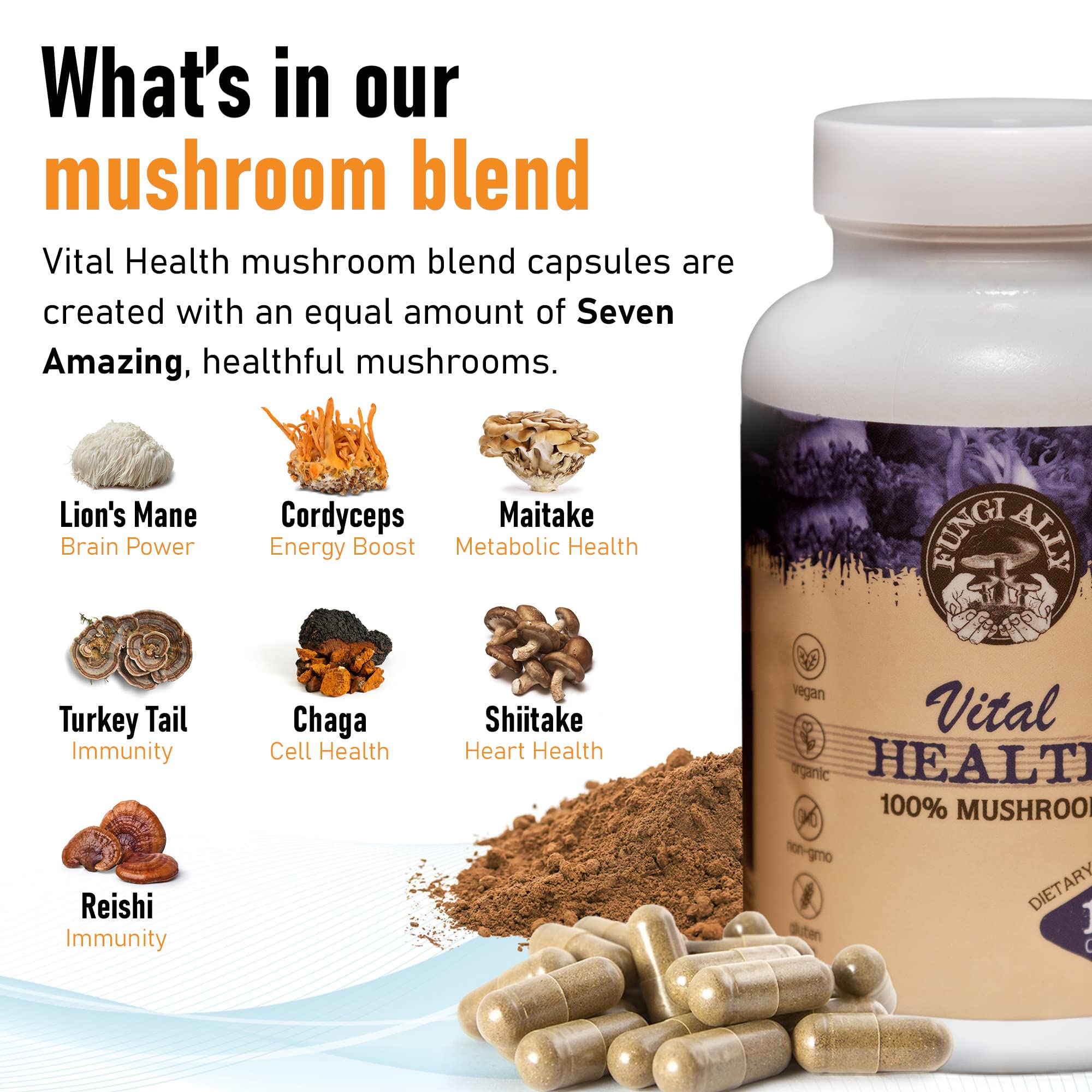 Turkey Tail mushroom extract