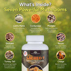 Turkey tail mushroom for gut health