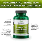 Turkey Tail Mushroom for gut health