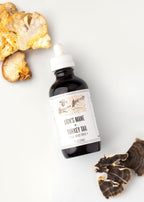 Turkey Tail mushroom for gut health