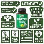 turkey tail mushroom for gut health