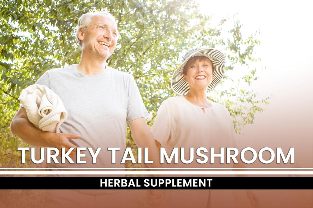 Turkey Tail Mushroom for gut health