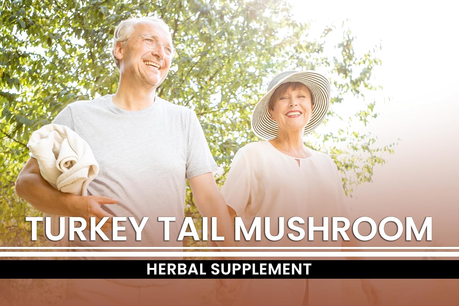 Turkey Tail Mushroom for gut health