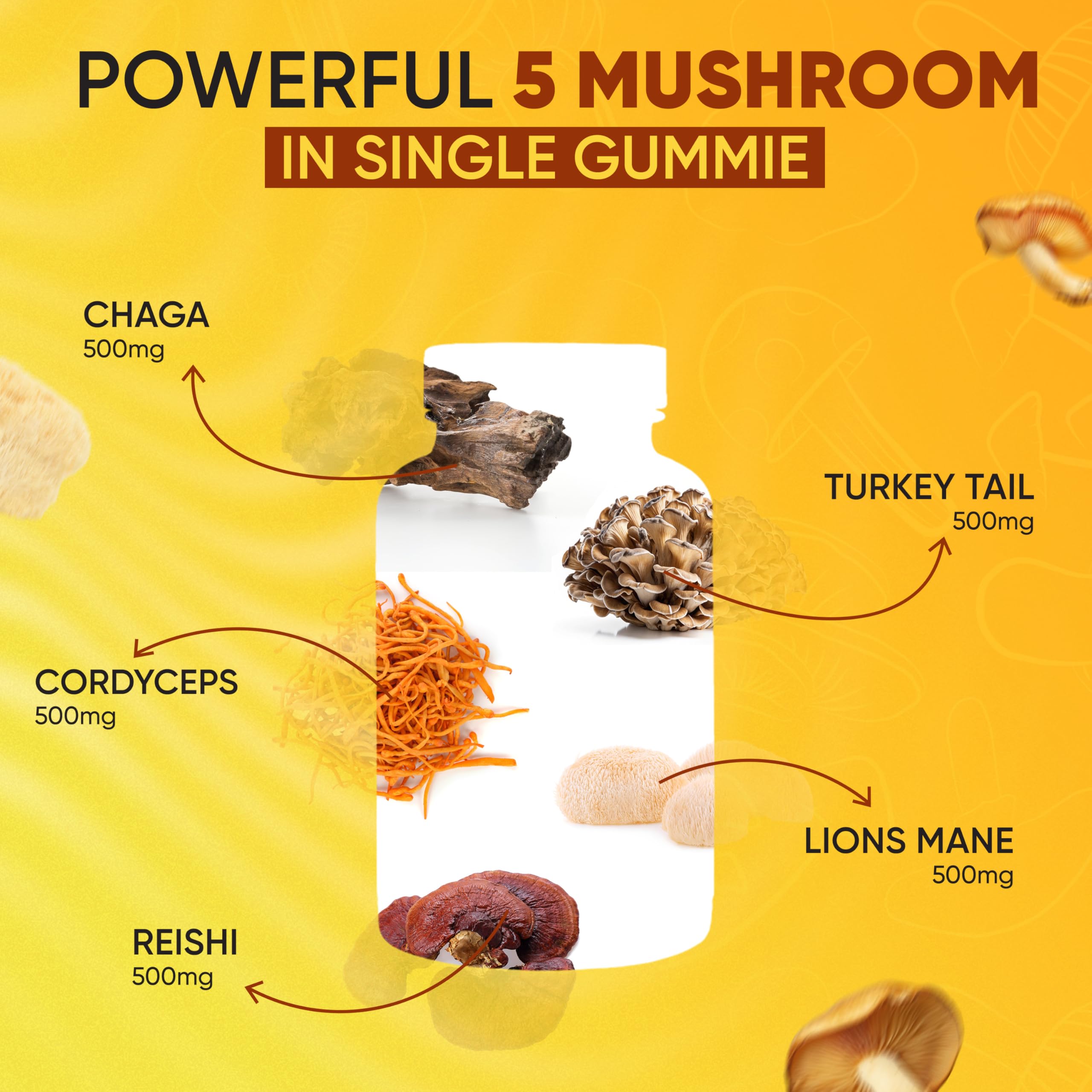 Turkey Tail mushroom for health