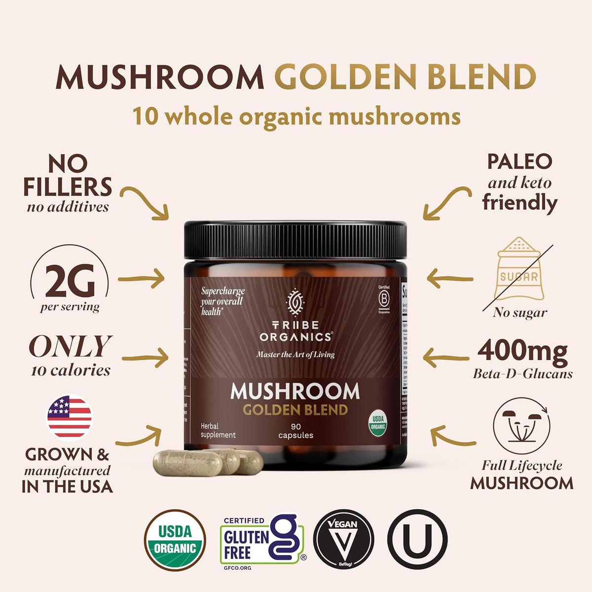 turkey tail mushroom for immune support