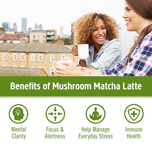 Turkey tail mushroom for immunity