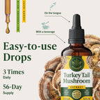 Turkey Tail mushroom for overall wellness