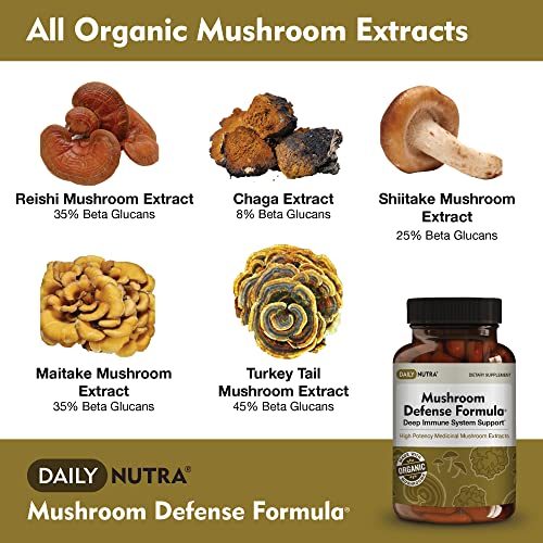 Turkey Tail mushroom for wellness