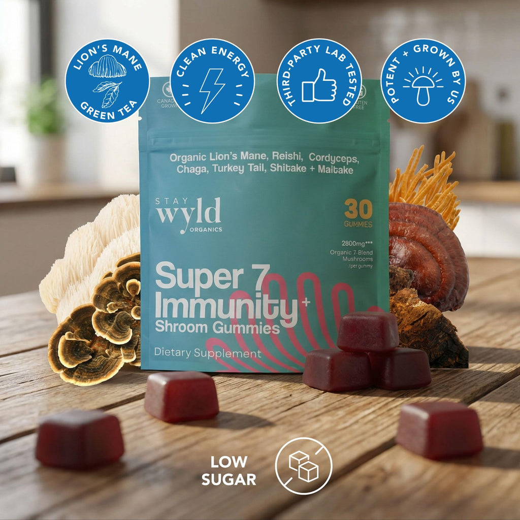 Turkey Tail mushroom gummies for gut health