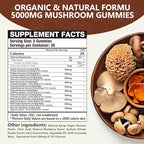 turkey tail mushroom gummies for immunity