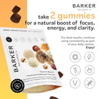 Turkey tail mushroom gummies for immunity