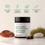 Turkey tail mushroom gummies for immunity