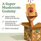 turkey tail mushroom gummy supplement