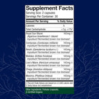 turkey tail mushroom health benefits