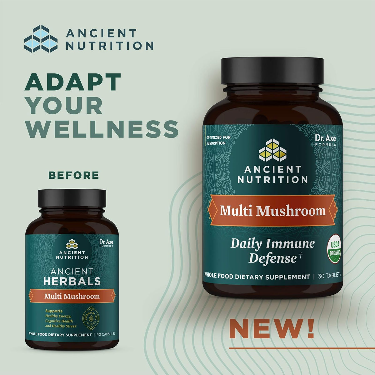 turkey tail mushroom health benefits