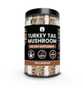 Turkey Tail Mushroom health benefits