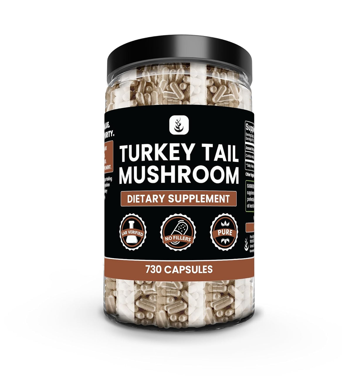 Turkey Tail Mushroom health benefits