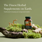 turkey tail mushroom health benefits