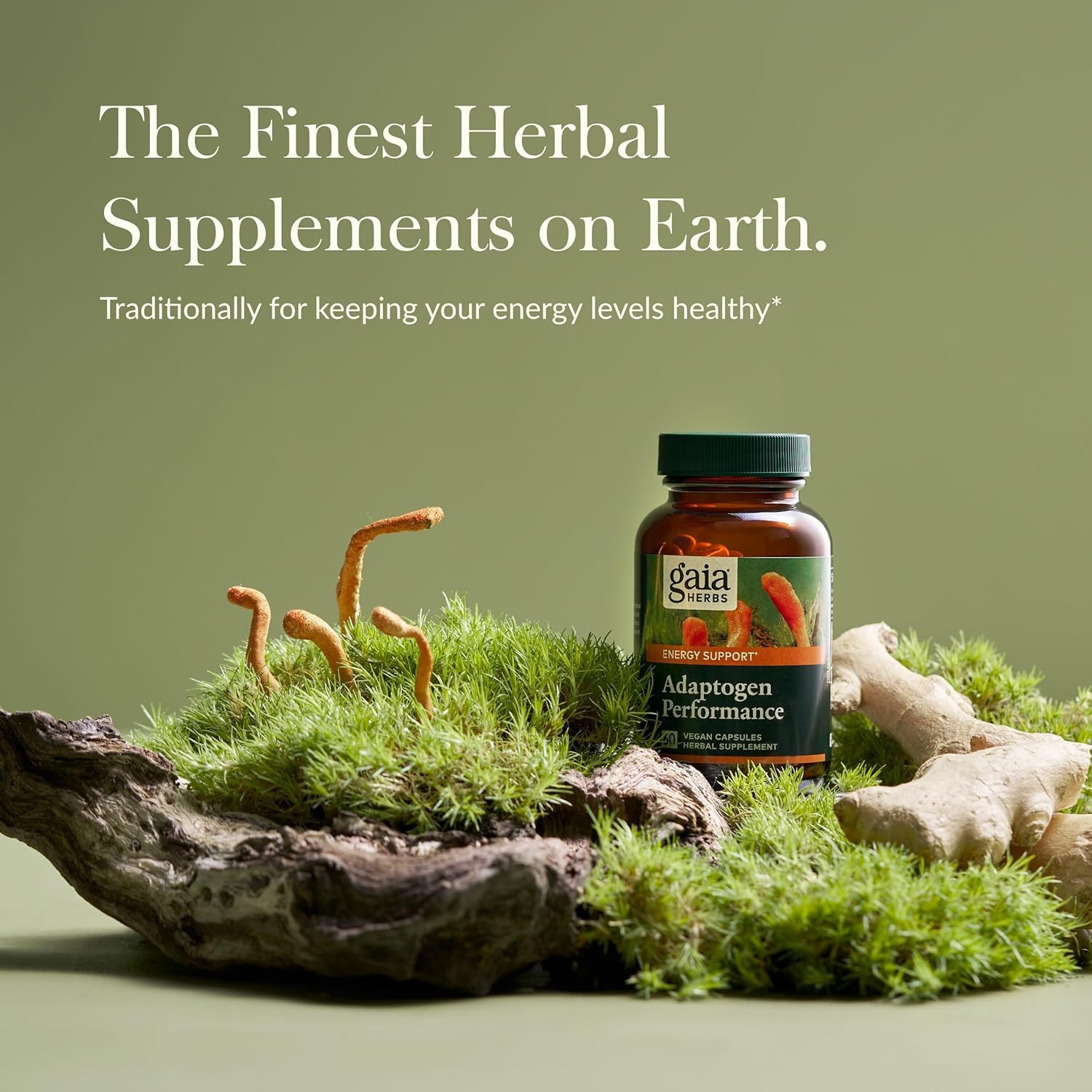 turkey tail mushroom health benefits