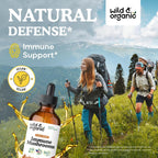 turkey tail mushroom health benefits