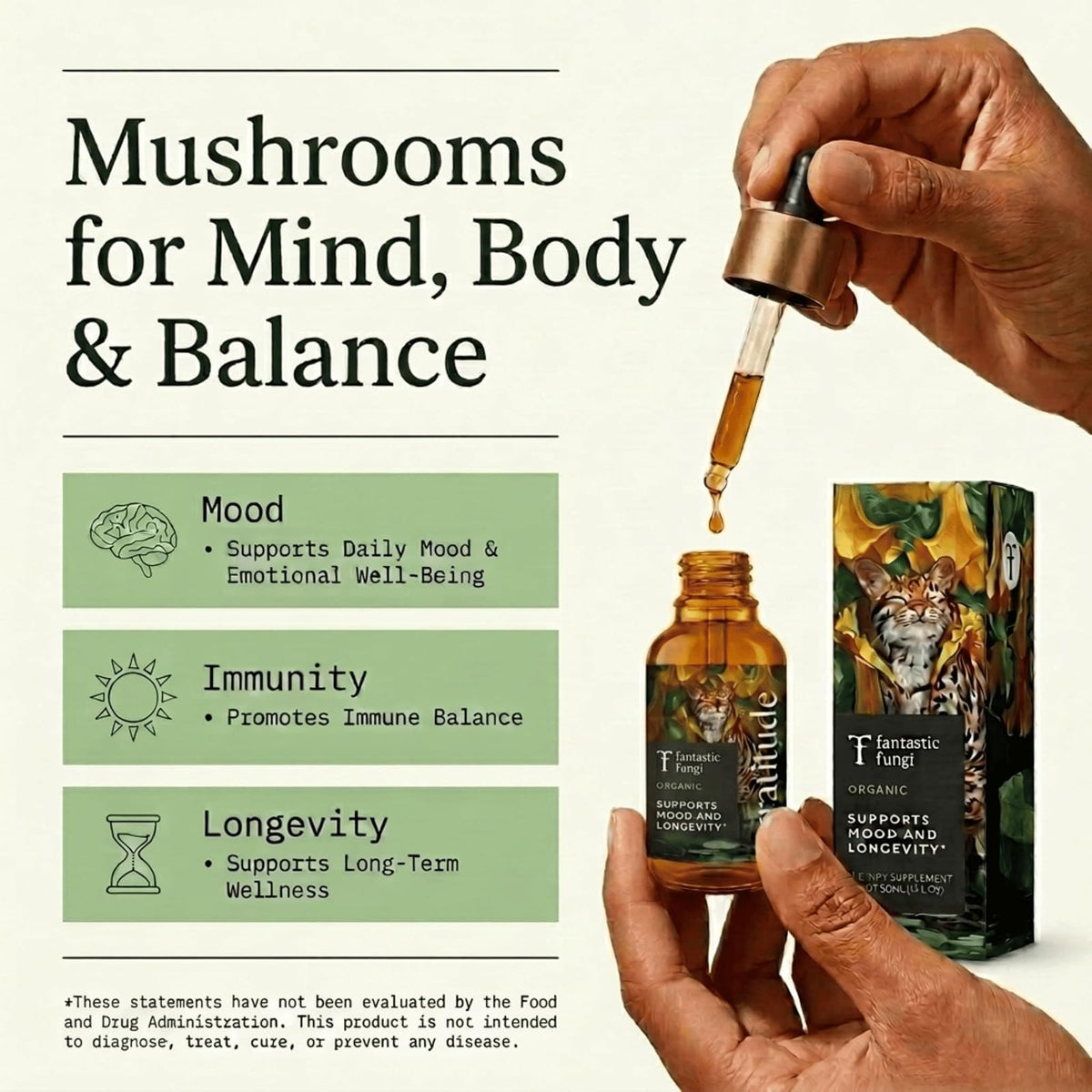 turkey tail mushroom health benefits