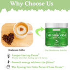 Turkey tail mushroom health benefits