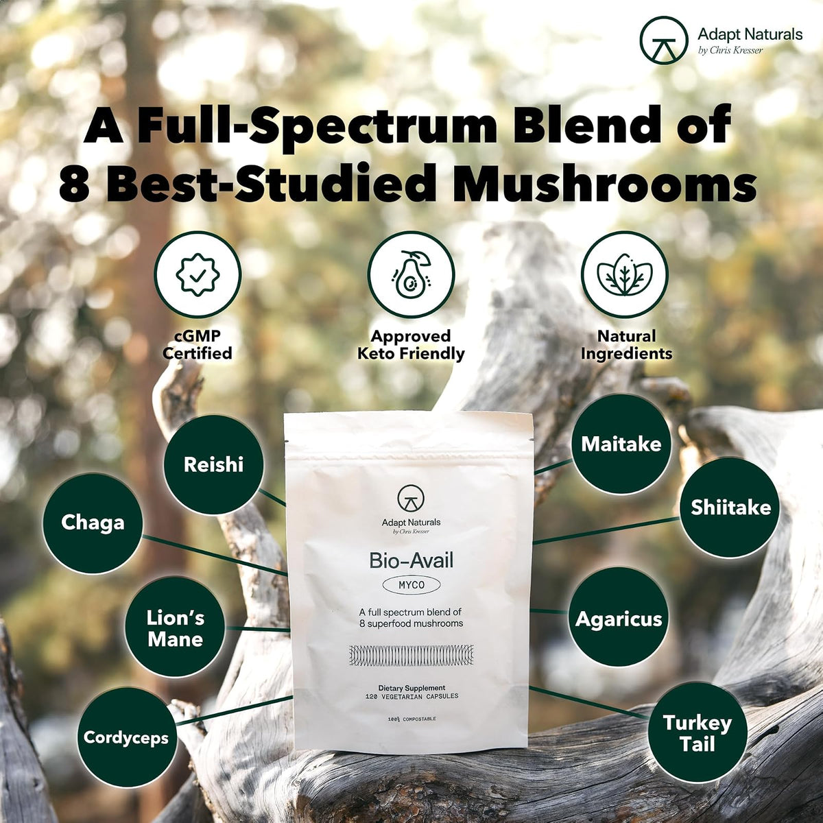 turkey tail mushroom health benefits