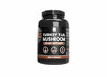 Turkey Tail Mushroom health benefits