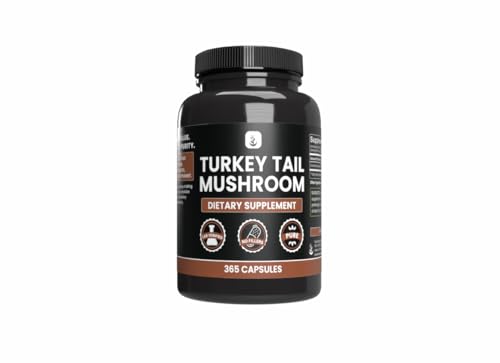 Turkey Tail Mushroom health benefits