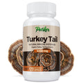 turkey tail mushroom health benefits
