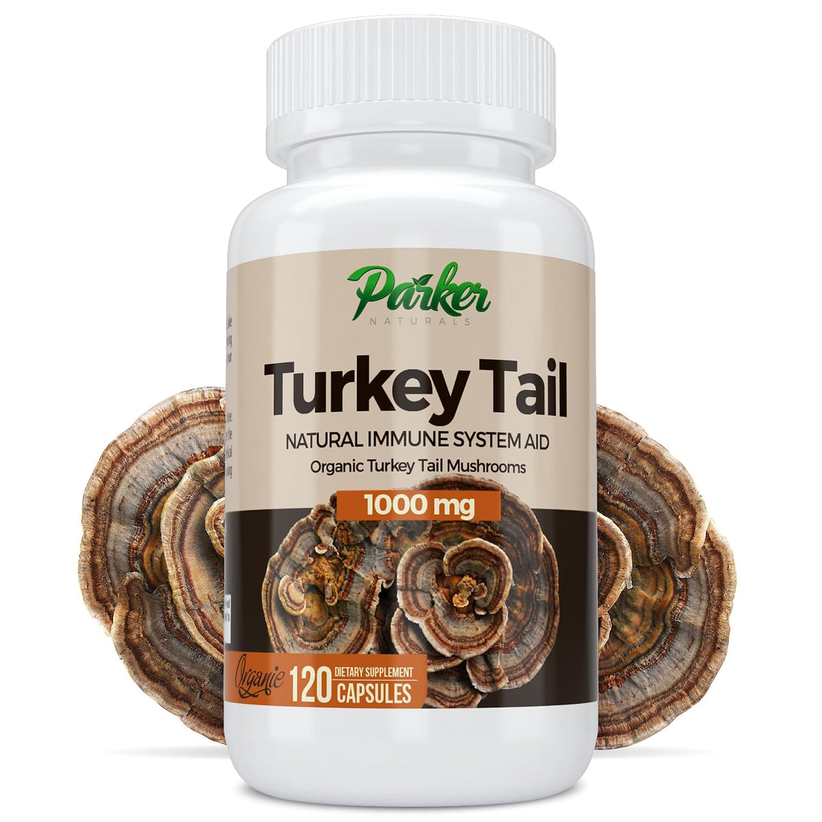 turkey tail mushroom health benefits