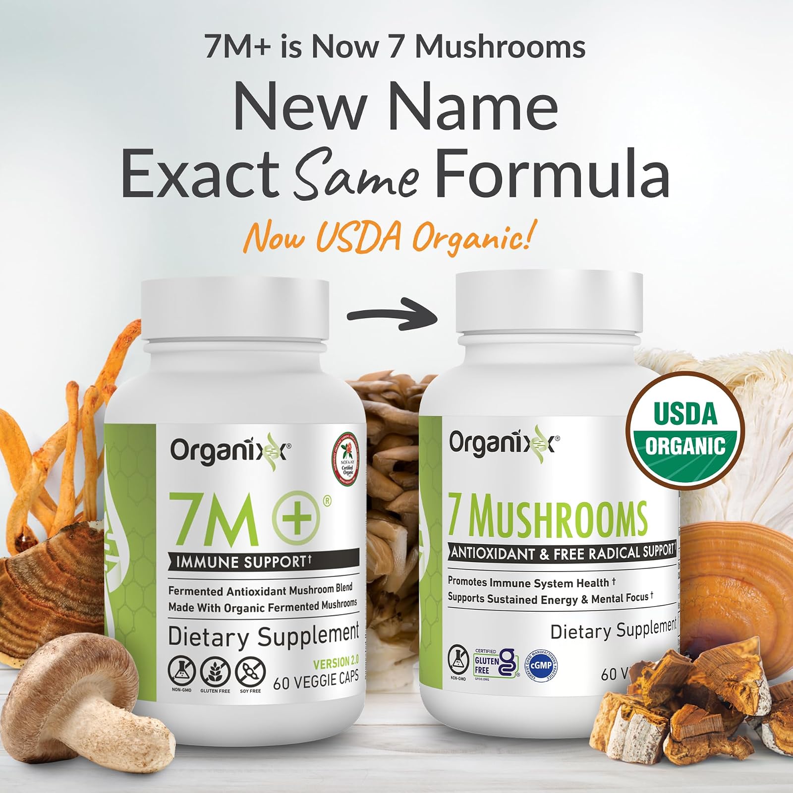 turkey tail mushroom health benefits