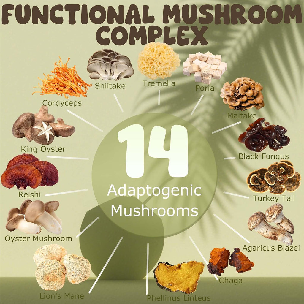 turkey tail mushroom health benefits
