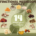 turkey tail mushroom health benefits